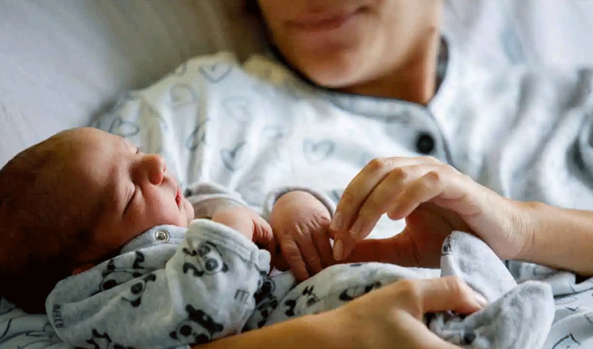 Pakistani Students Can Now Study for Free at Top US University – Tehqiq ...